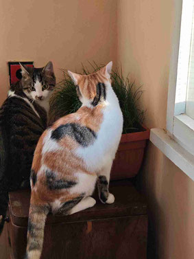 AYA & SMITH ♥ .. Freigang möglich