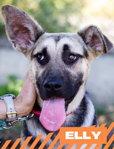 Elly
